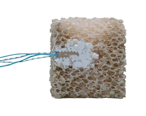 Tactoset - Injectable Bone Substitute For Insufficiency Fractures - Anika