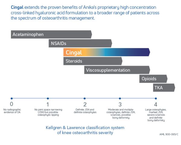 Cingal - Hyaluronic Acid Plus Steroid Injection For OA Pain - Anika