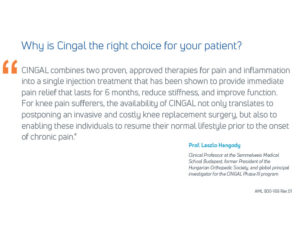 Cingal - Hyaluronic Acid Plus Steroid Injection For OA Pain - Anika