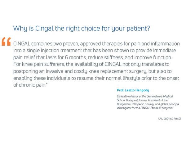 Cingal - Hyaluronic Acid Plus Steroid Injection For OA Pain - Anika