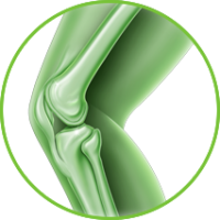 Cingal - Hyaluronic Acid Plus Steroid Injection For OA Pain - Anika